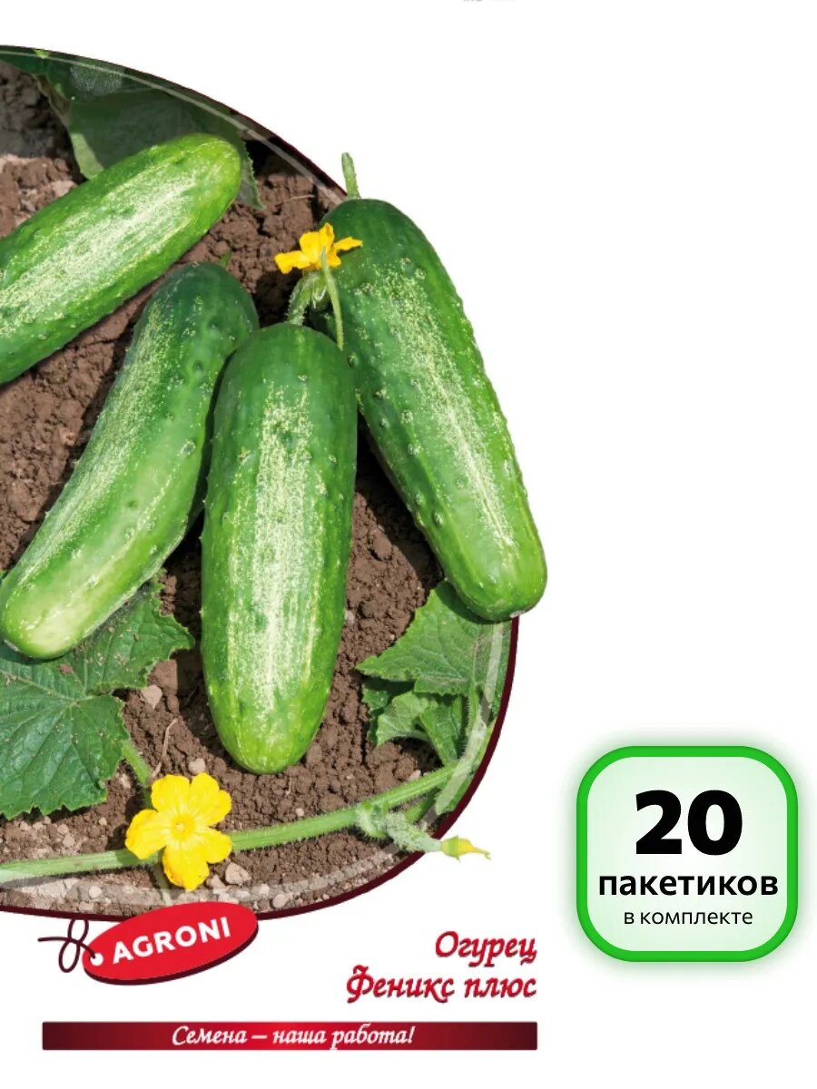 (20 шт.) - Семена Огурец Феникс плюс (0,5г)