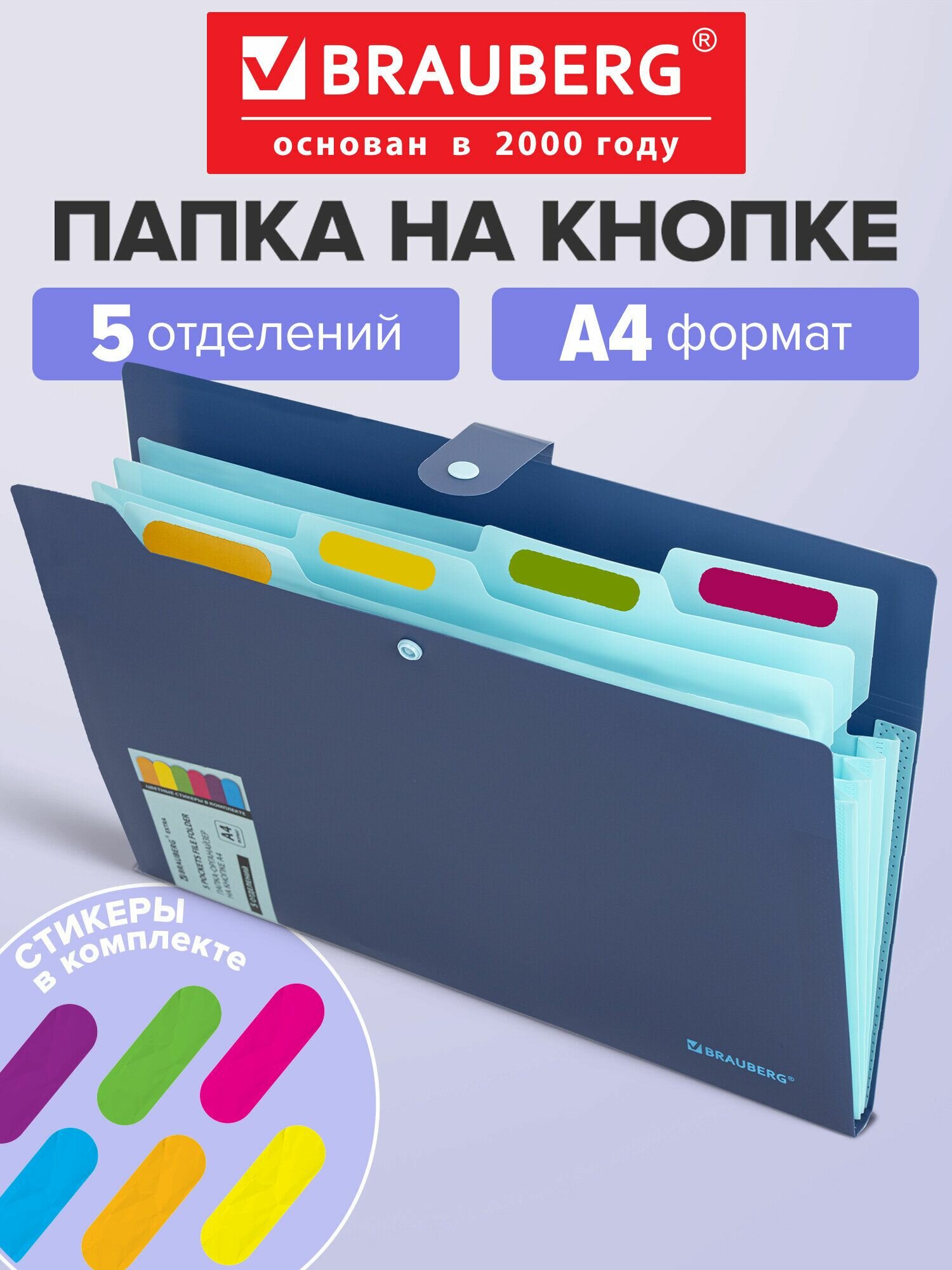 Папка для документов А4 канцелярская на кнопке, органайзер для бумаг 5 отделений для офиса и школы, синяя с голубым, Extra папка для документов органайзер для бумаг папка на кнопке офисная папка