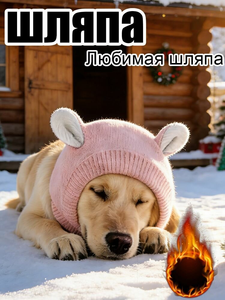 Шапка для собак: теплая зимняя шапочка для питомца
