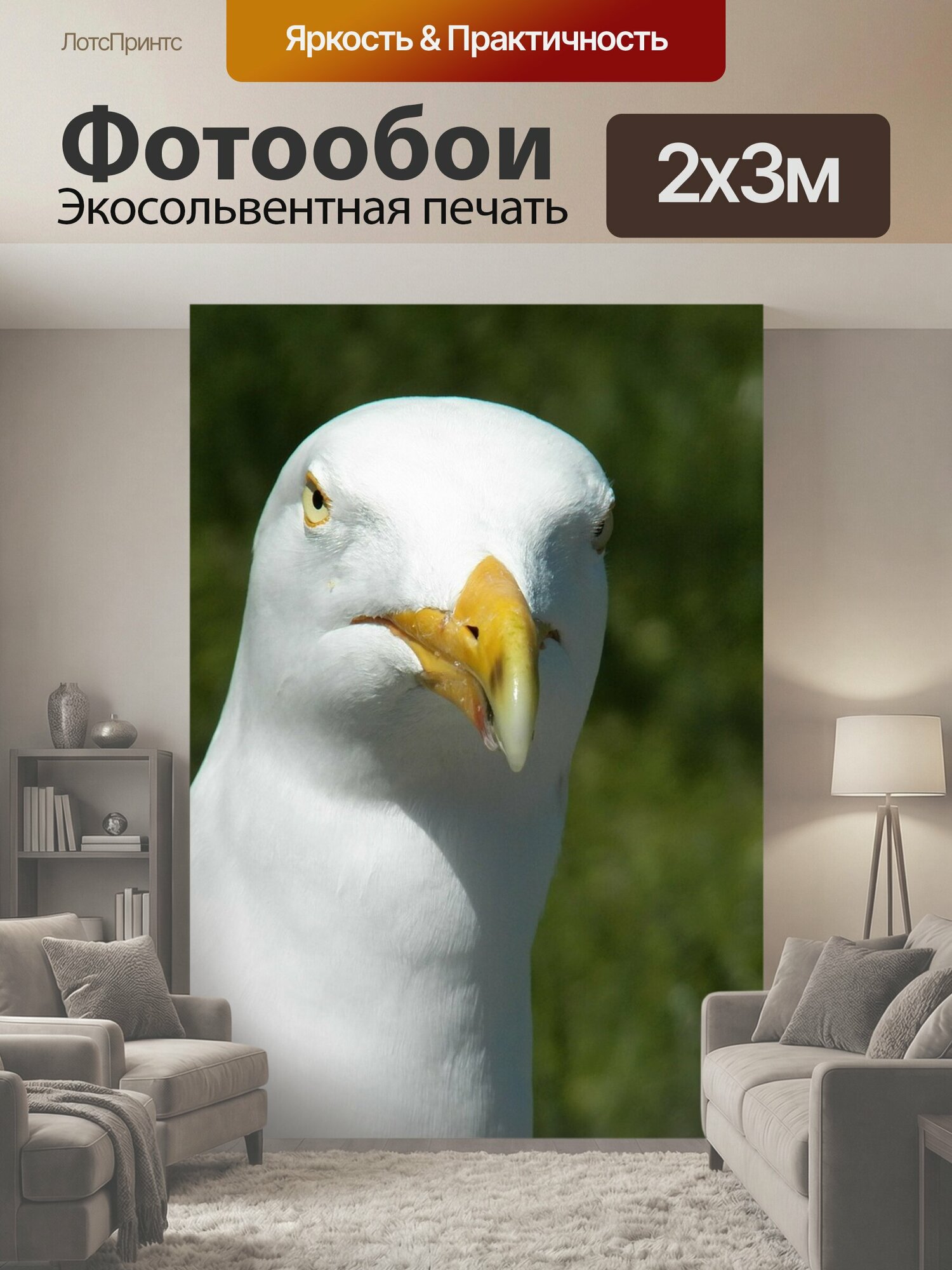 Фотообои "Чайка, чайки, крупный план" 200x300 см. экосольвентная печать