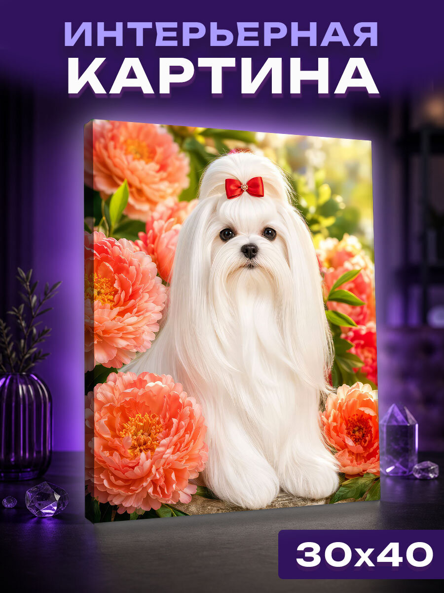 Интерьерная картина Болонка в пышных пионовидных розах