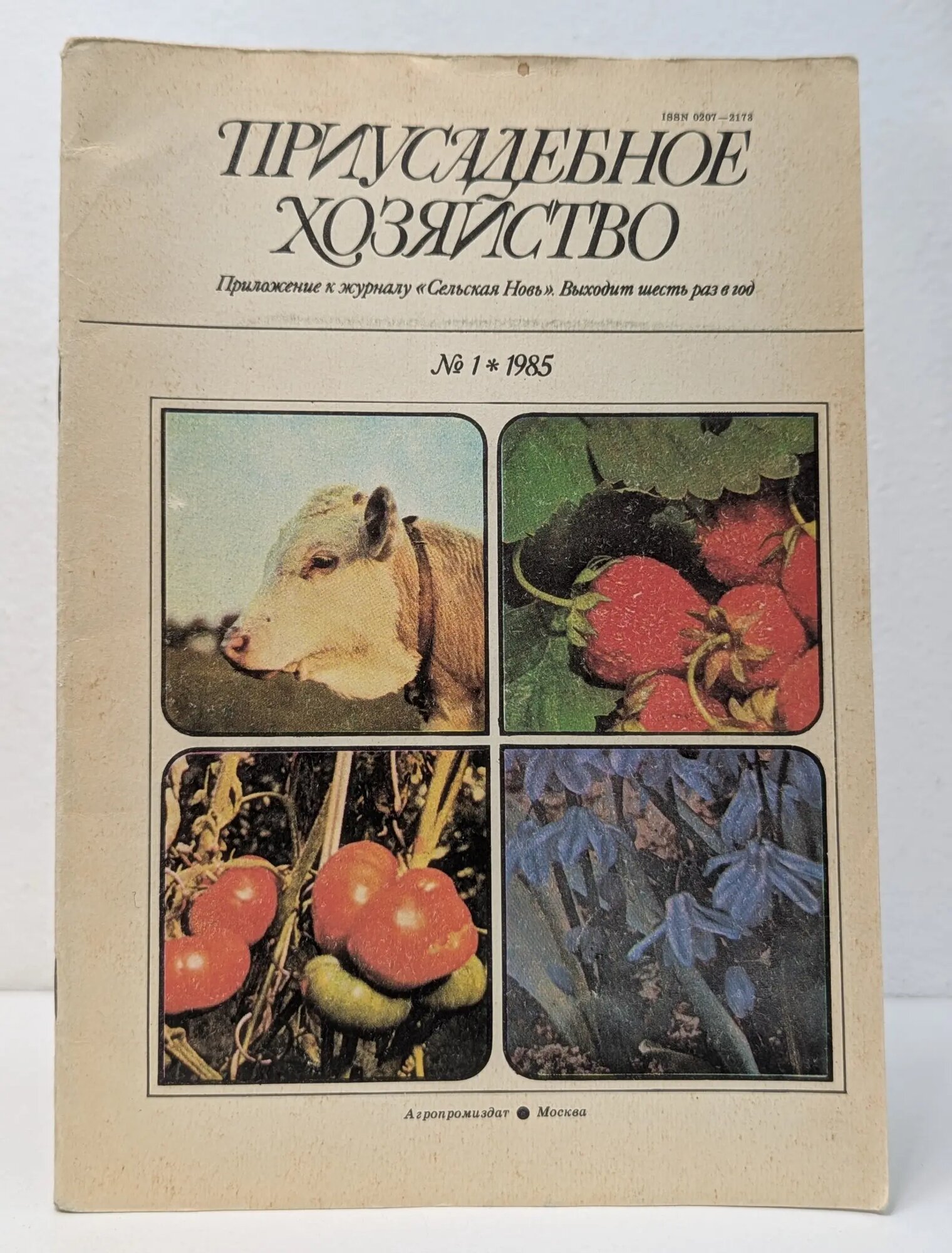 Приусадебное хозяйство. Выпуск № 1/1985 Сборник 1985