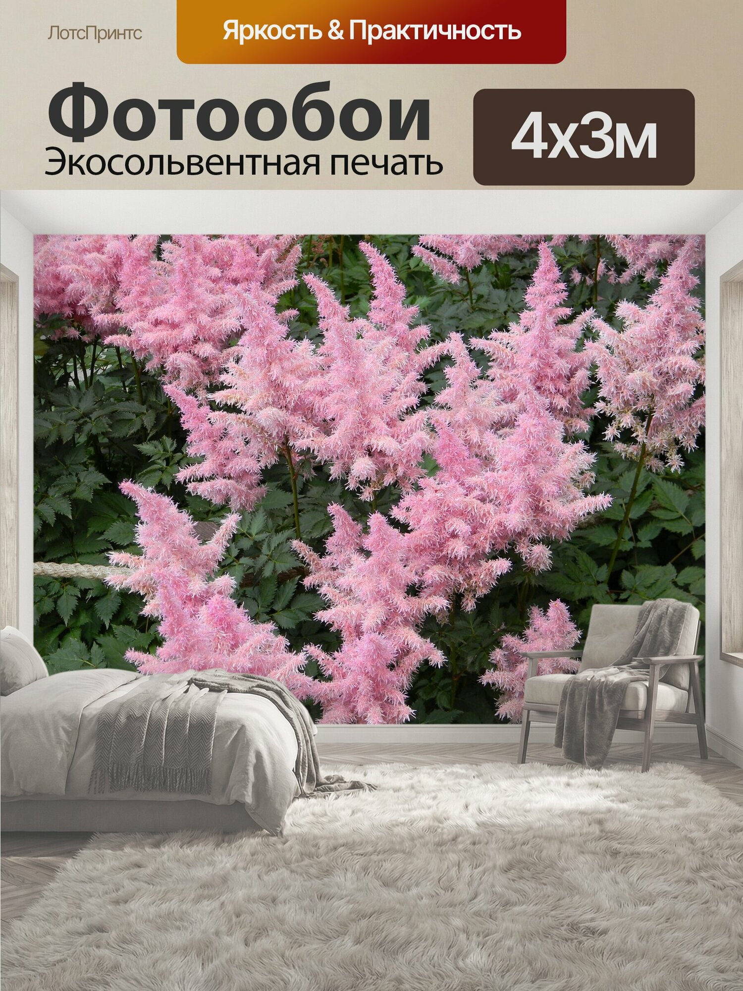Фотообои "Астильба, астильбе, цветок" 400x300 см. экосольвентная печать