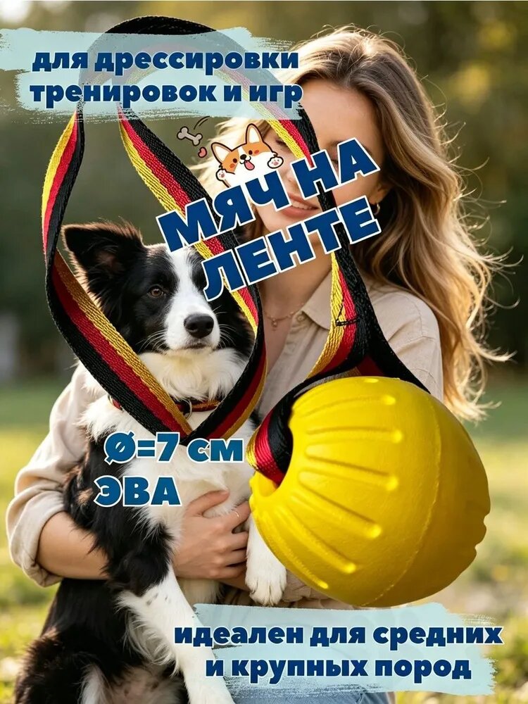 Тренировка Маленькой Собаки для домашнего использования для игр питомца для дрессировки