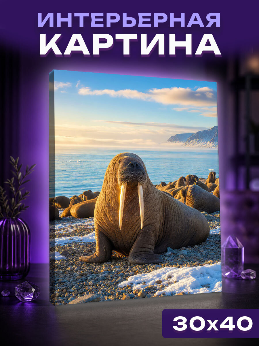 Интерьерная картина Золотое утро моржового стада