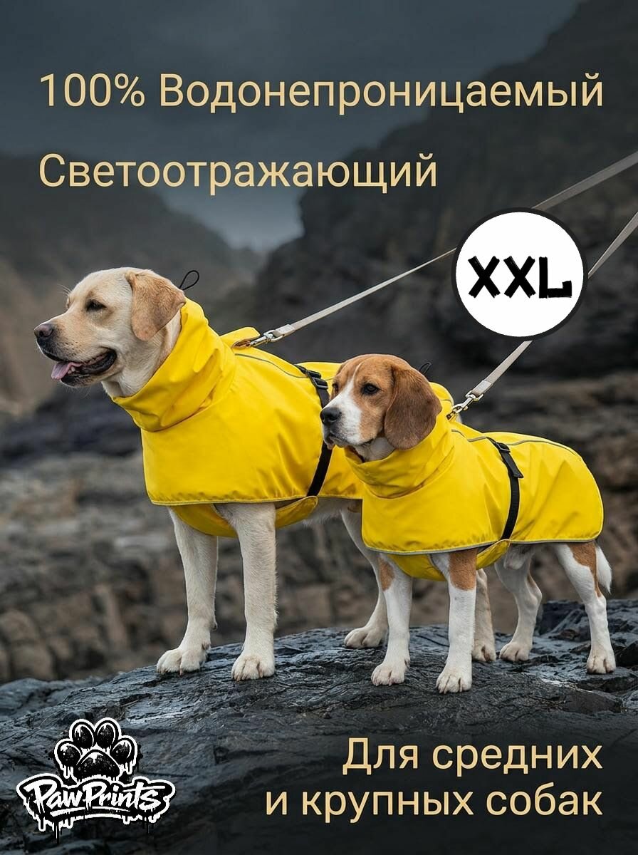 Водонепроницаемый дождевик для средних и крупных собак желтый, XXL