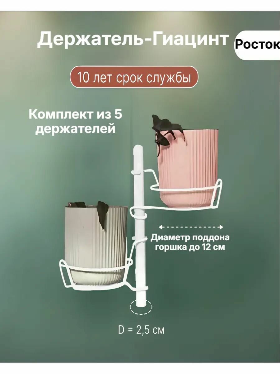 Держатели цветов "Гиацинт", металл, белые, для кашпо до 12см, 5 штук