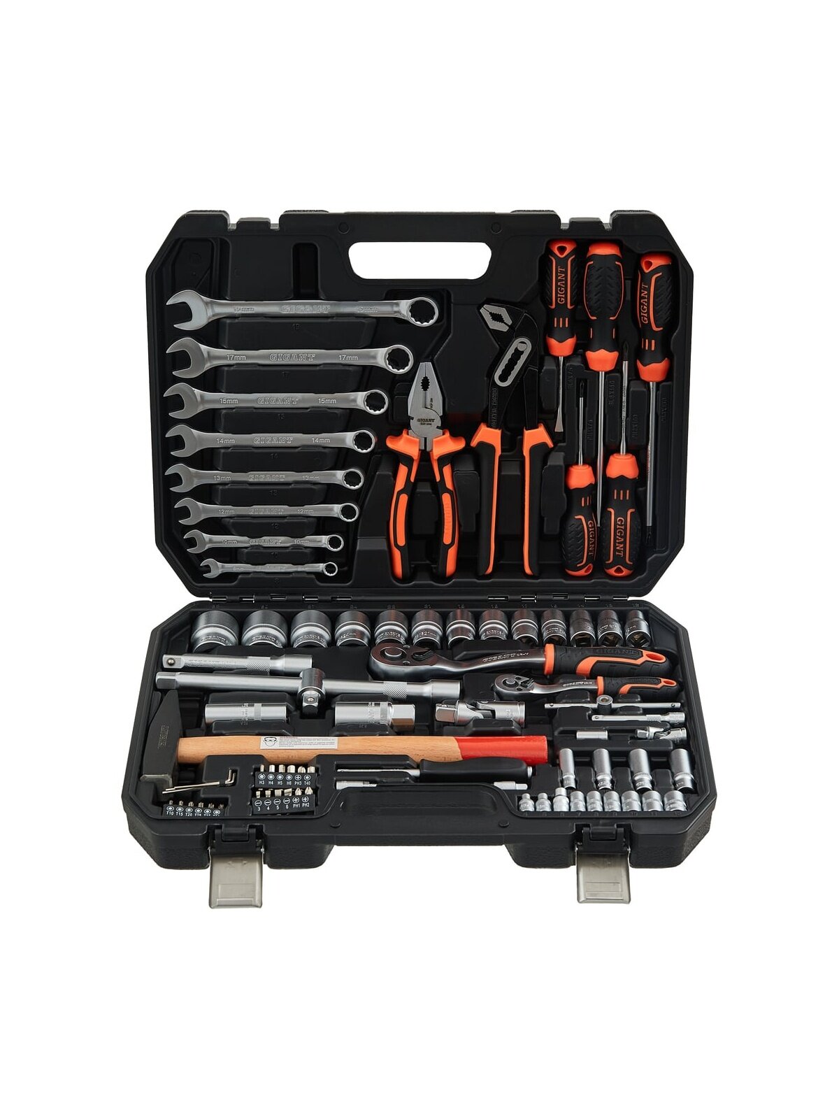 Набор инструментов Gigant 77 предметов, сталь Cr-V GAS 77