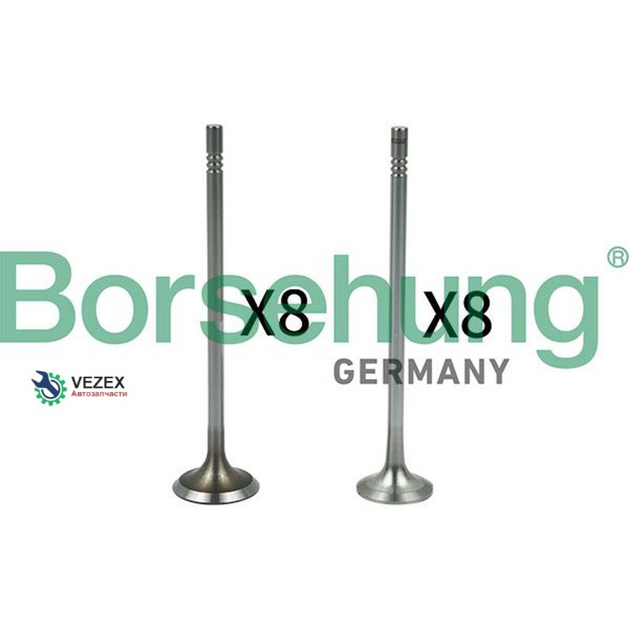 BORSEHUNG B18632 Комплект клапанов 8+8