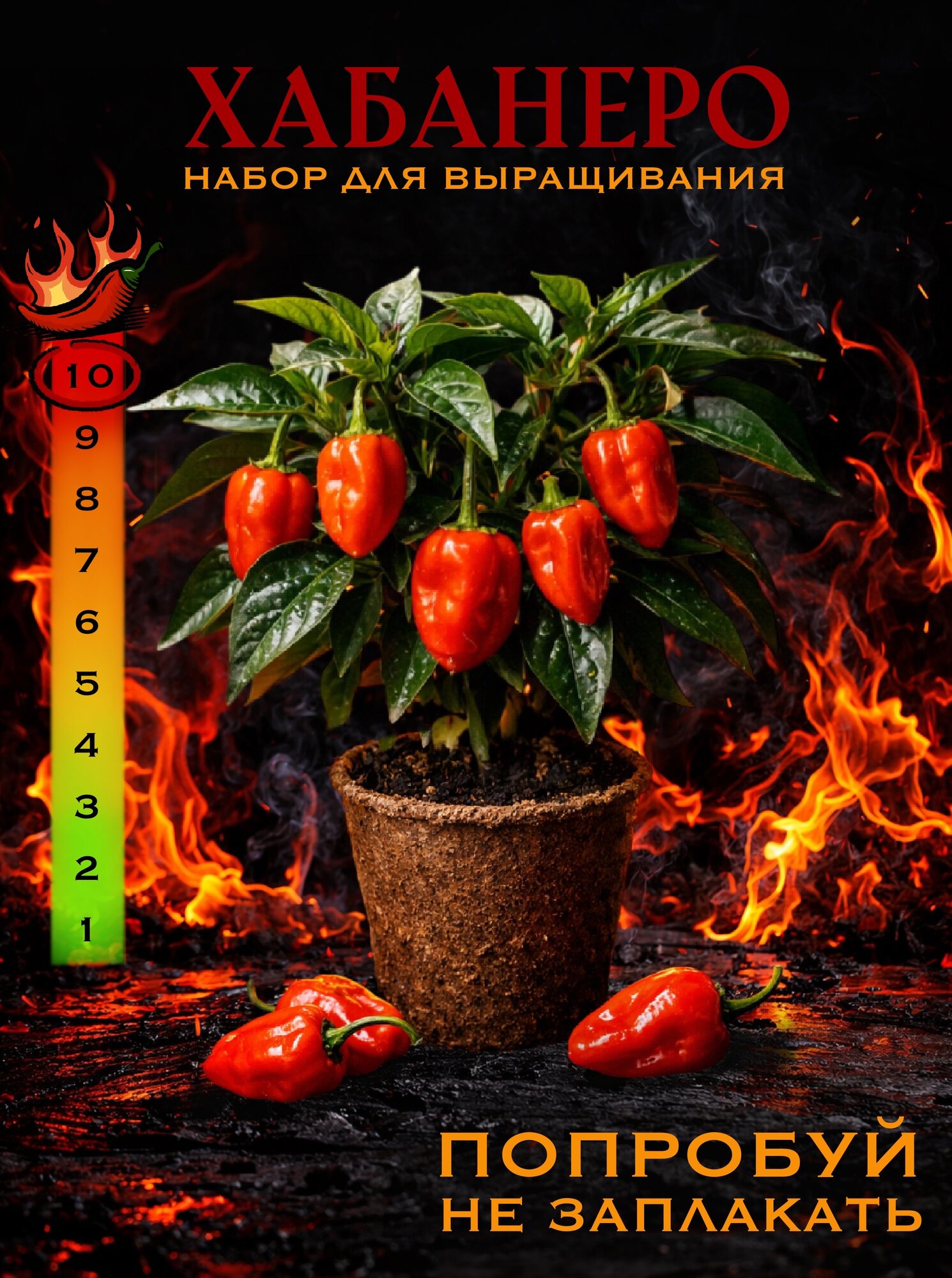 Набор для выращивания острого перца Хабанеро