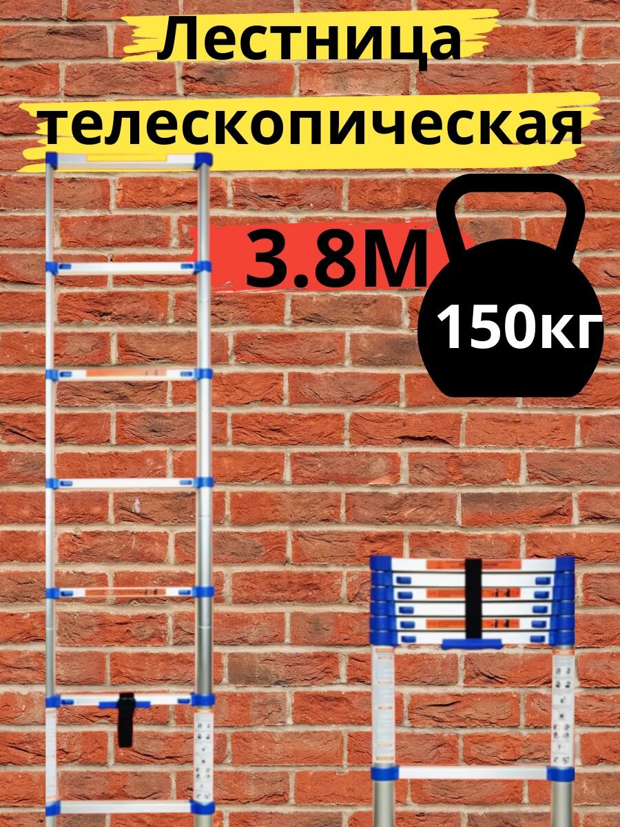 Лестница телескопическая синий/хром 13ст. 3,8м "MITTSU" М6823