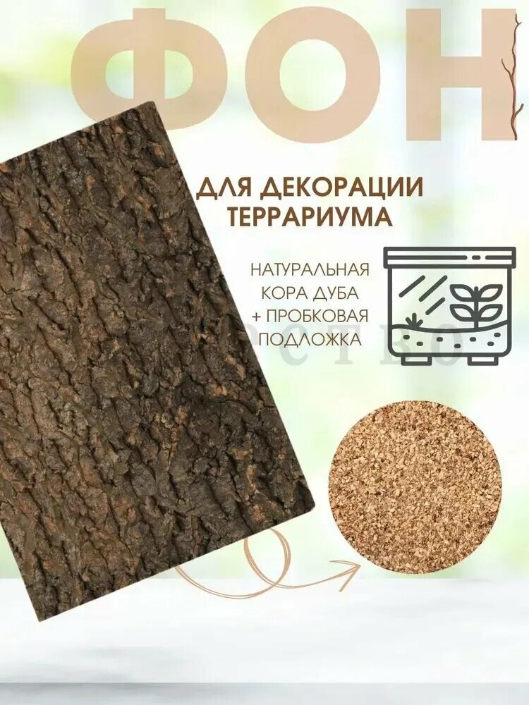 Фон для террариума из натуральной коры пробкового дерева