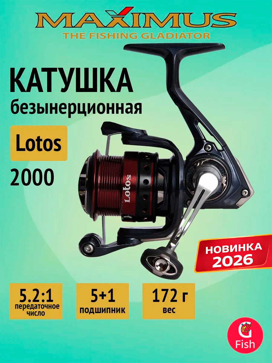 Катушка безынерционная Maximus Lotos 2000 (5+1 подш.) 172 г.