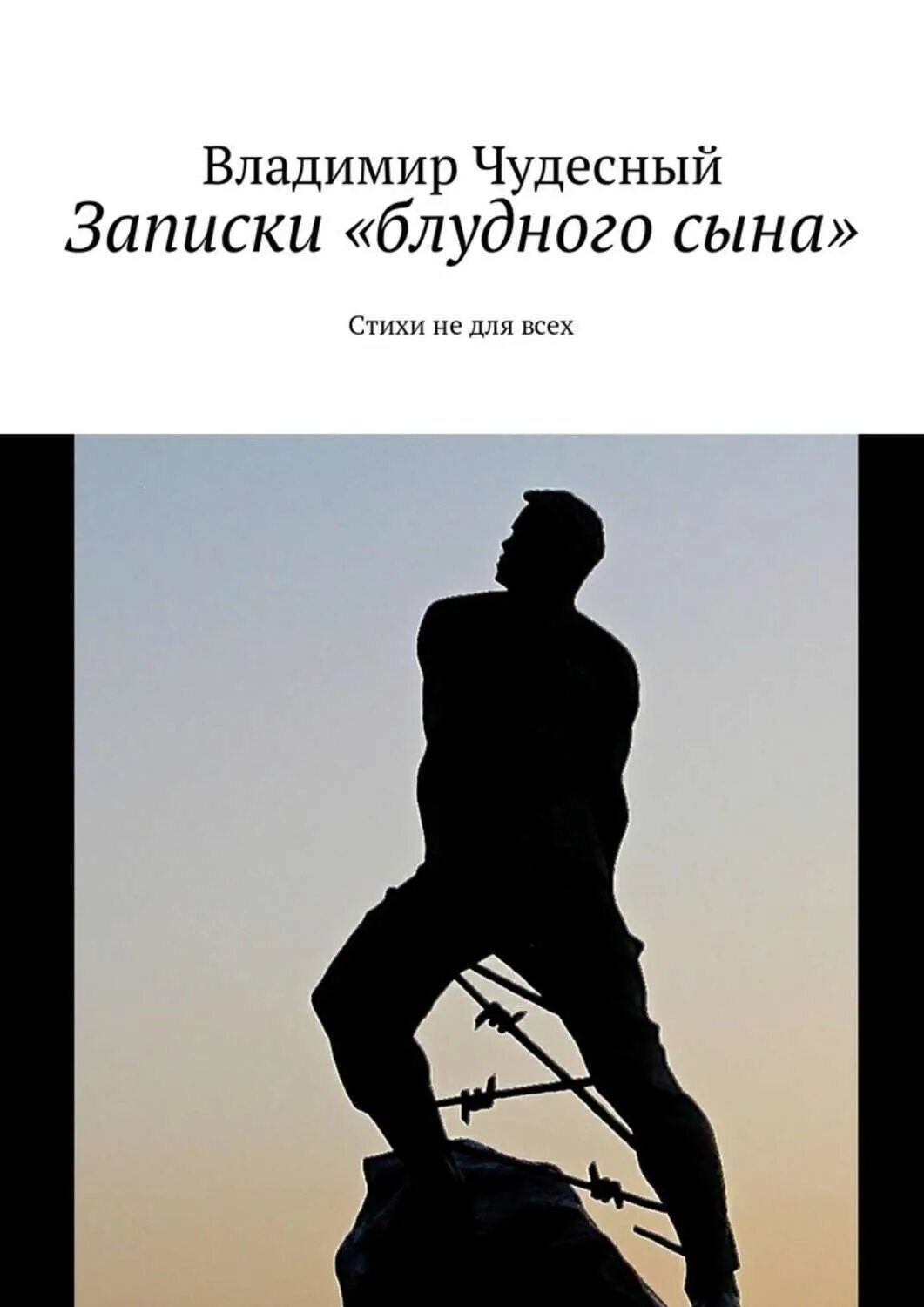 Записки «блудного сына». Стихи не для всех [Цифровая книга]