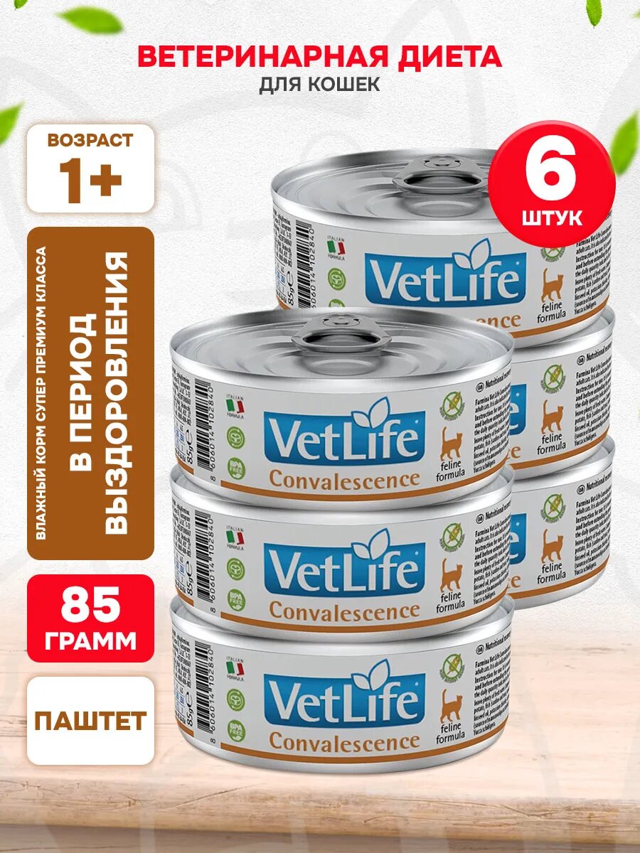 Корм влажный Farmina Vet Life Feline Convalescence для взрослых кошек в период выздоровления, 85 г 6 шт