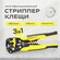 Стрипперы