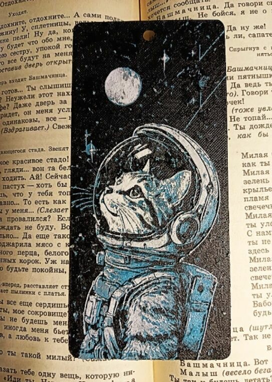 Закладки 3D для школьника в книги и учебники Котик мечтатель - дизайнерские