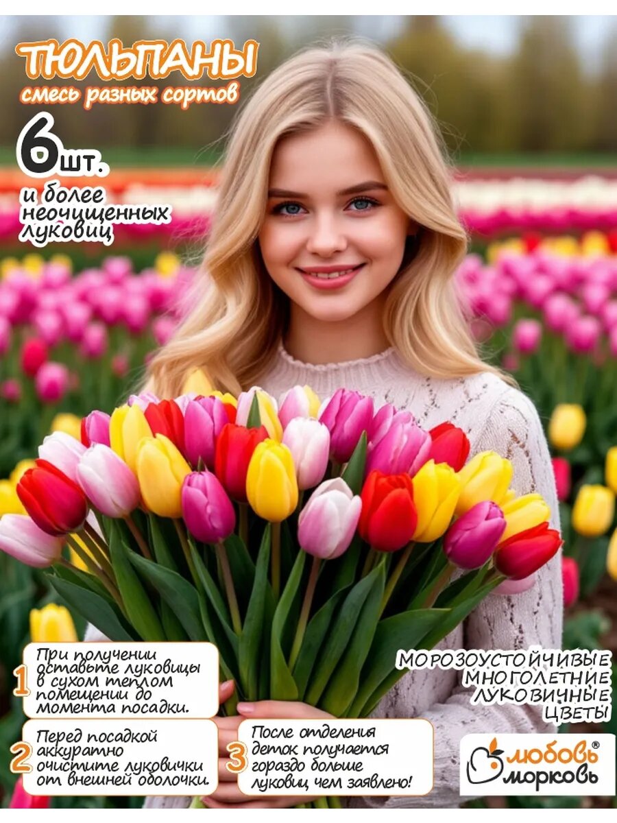 Тюльпан Луковица, Микс сортов 6 шт.