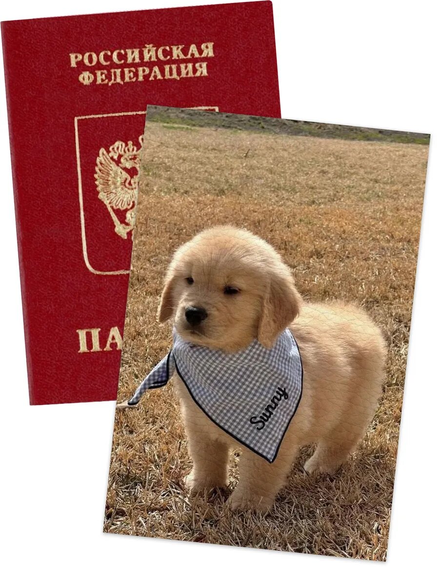 Обложка для паспорта