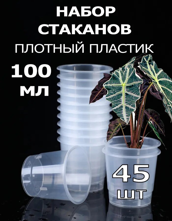Стаканы одноразовые