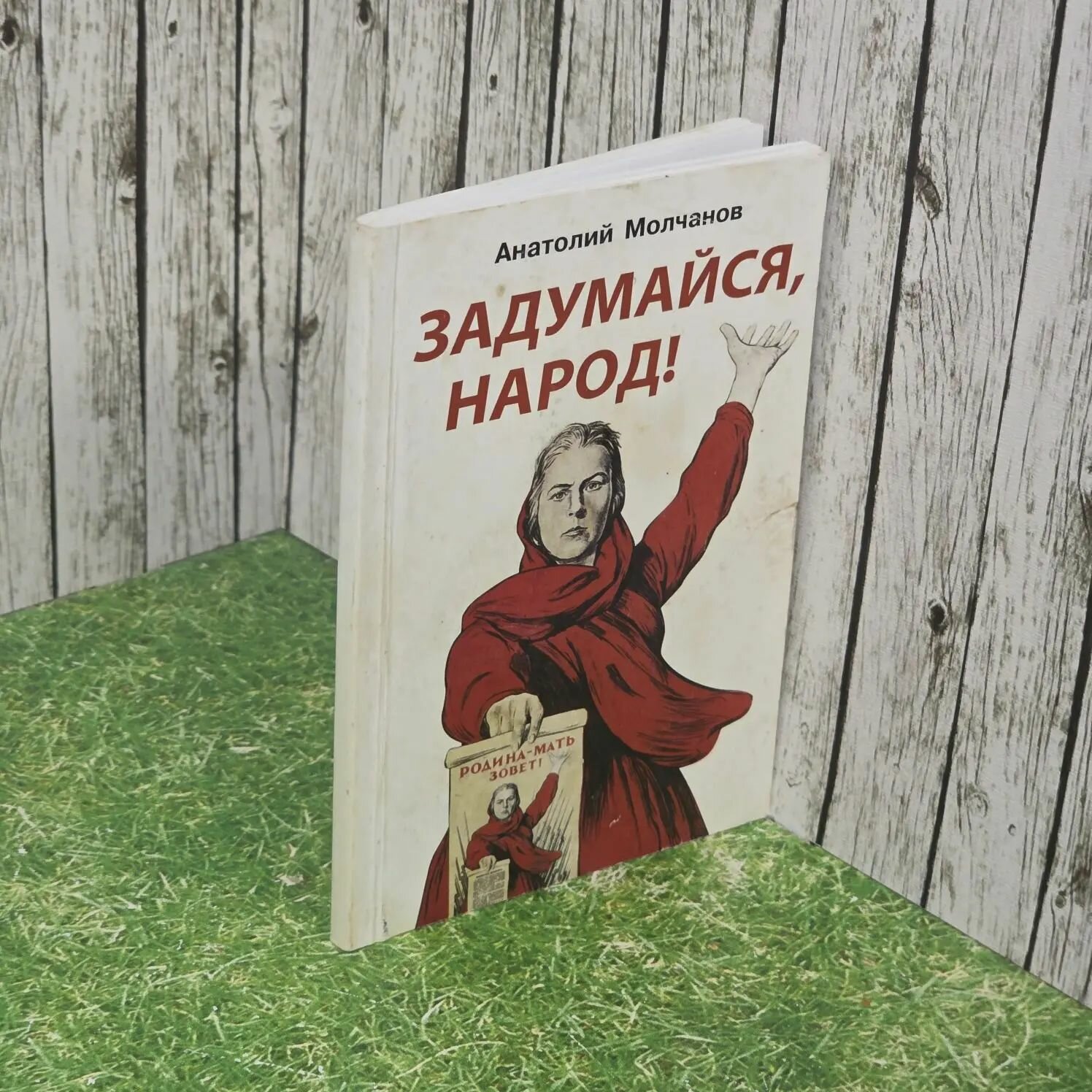Задумайся, народ! Молчанов Анатолий Владимирович