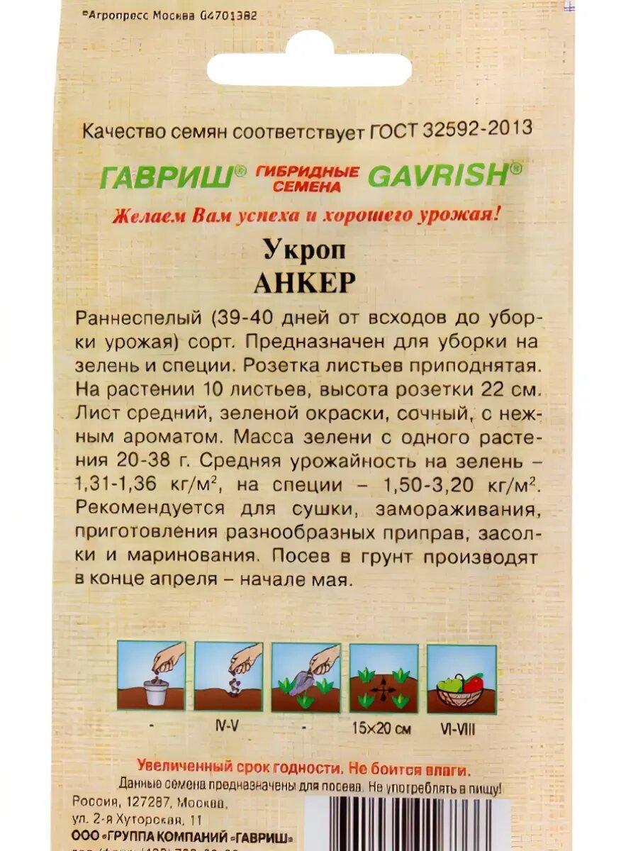 Семена Укроп Анкер — фото 1