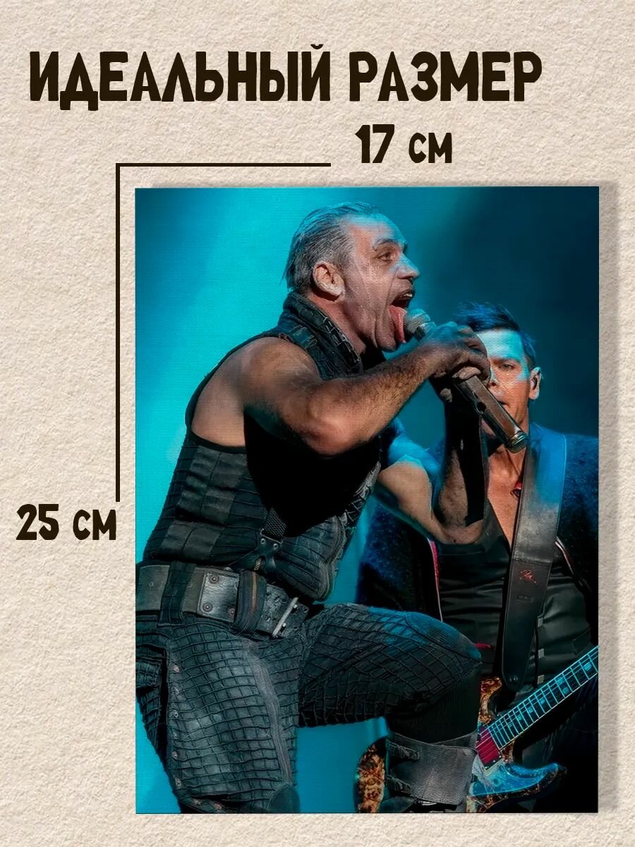 Картина на стену Rammstein, на подрамнике, 1шт, 25х17 размер. — фото 1