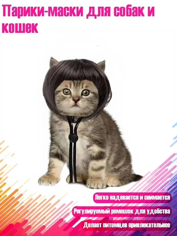 Парики-маски для собак и кошек, - Кот с открытыми ушами bob h