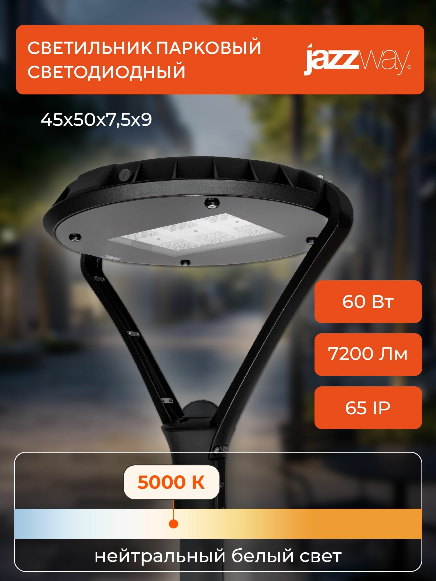 Фонарь уличный светодиодный Jazzway PGL 03 60w 5000K IP65