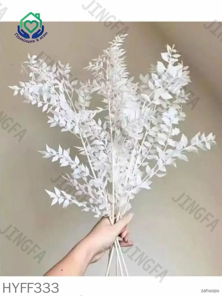Сухоцветы Рускус, 50 см, 50 гр