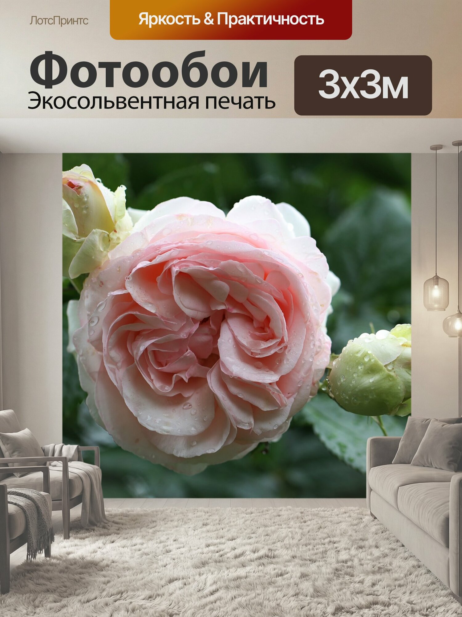Фотообои "Роза, розы цветы, цветок" 300x300 см. экосольвентная печать
