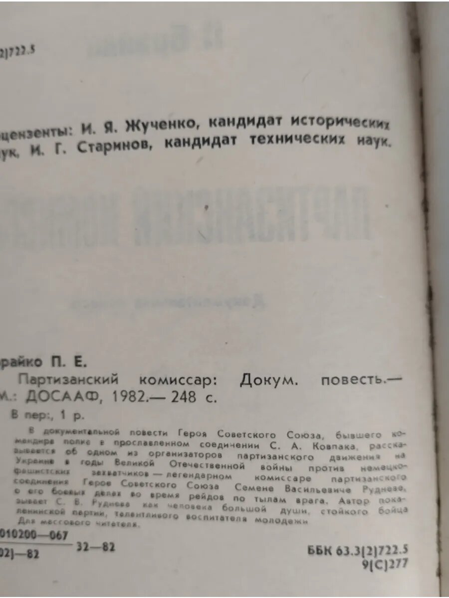 Партизанский комиссар — фото 1