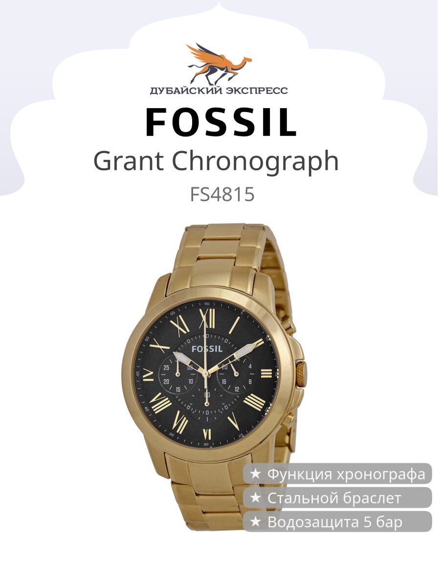  FOSSIL