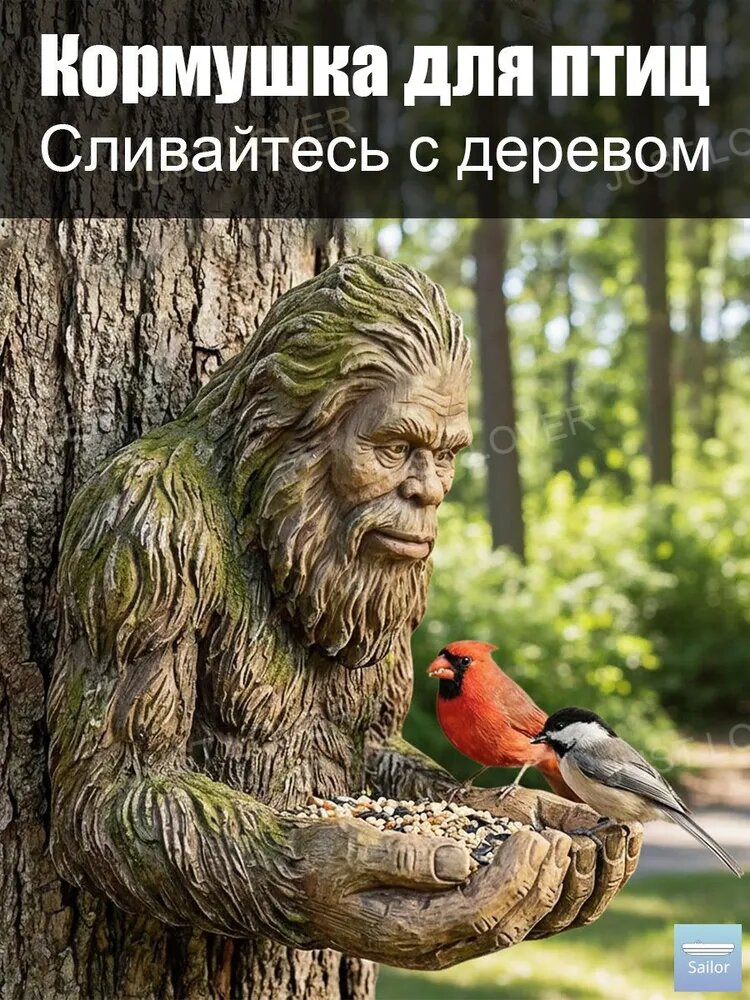 Внутренний двор с кормушкой для птиц