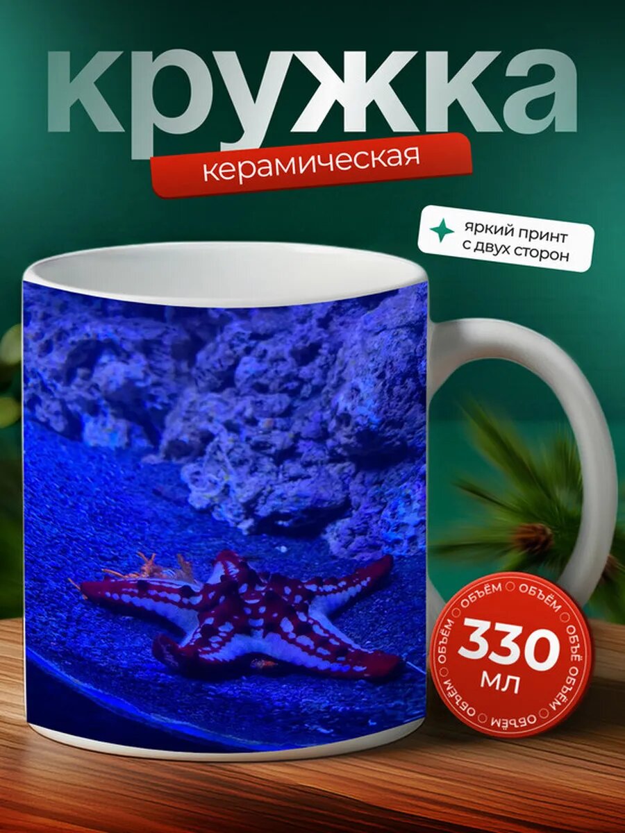 Кружка Морская звезда иглокожее 9,