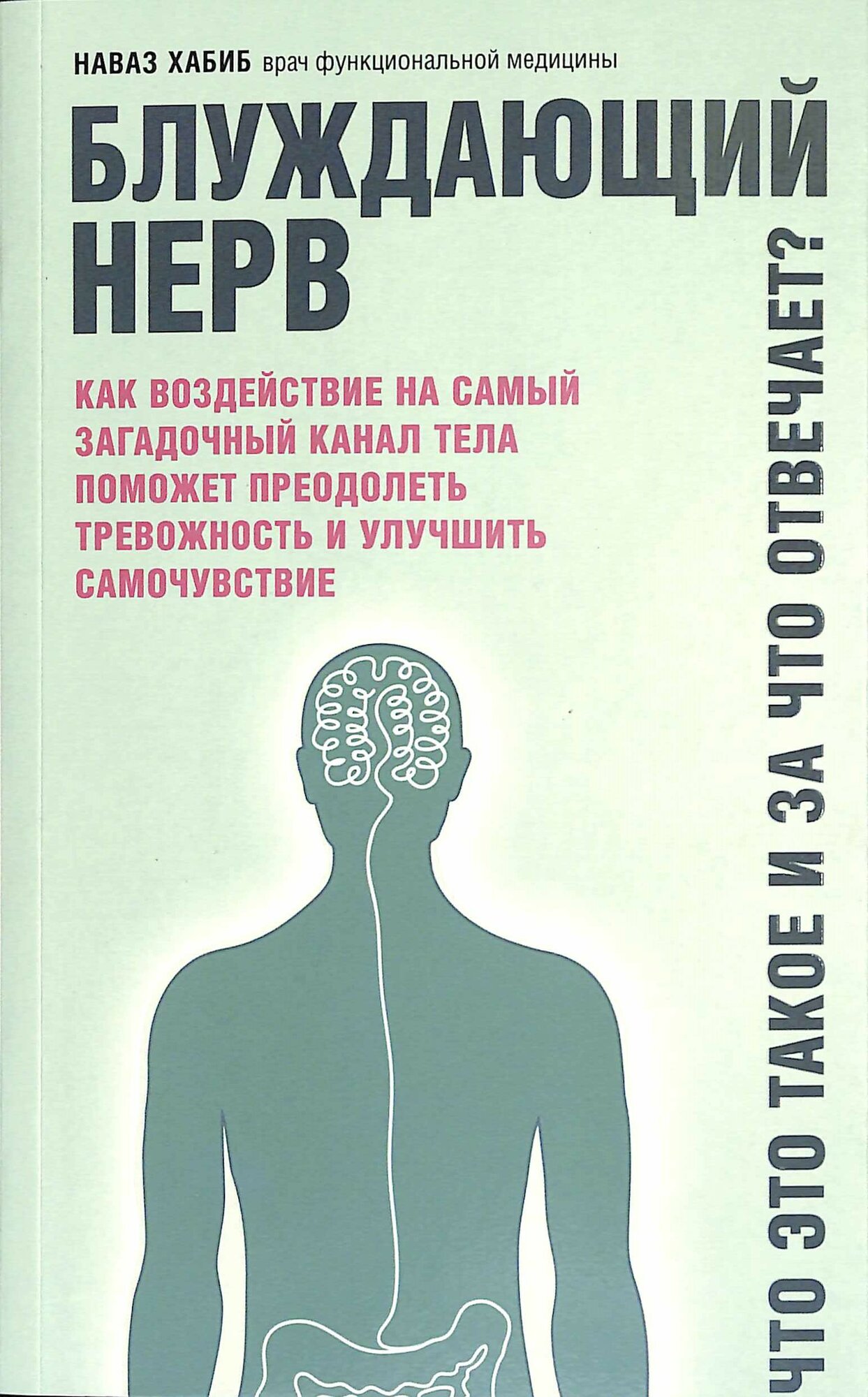 Блуждающий нерв. Что это такое и за что отвечает?