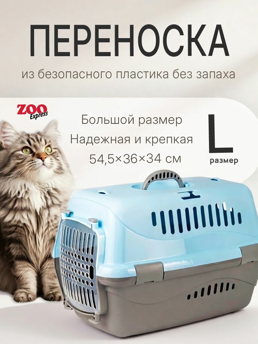 Переноска для кошек пластиковая большая с прозрачной дверцей Голубая