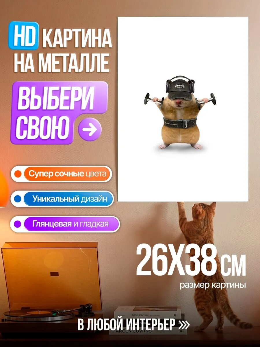 Картина на HD металле Хомяк качок в наушниках