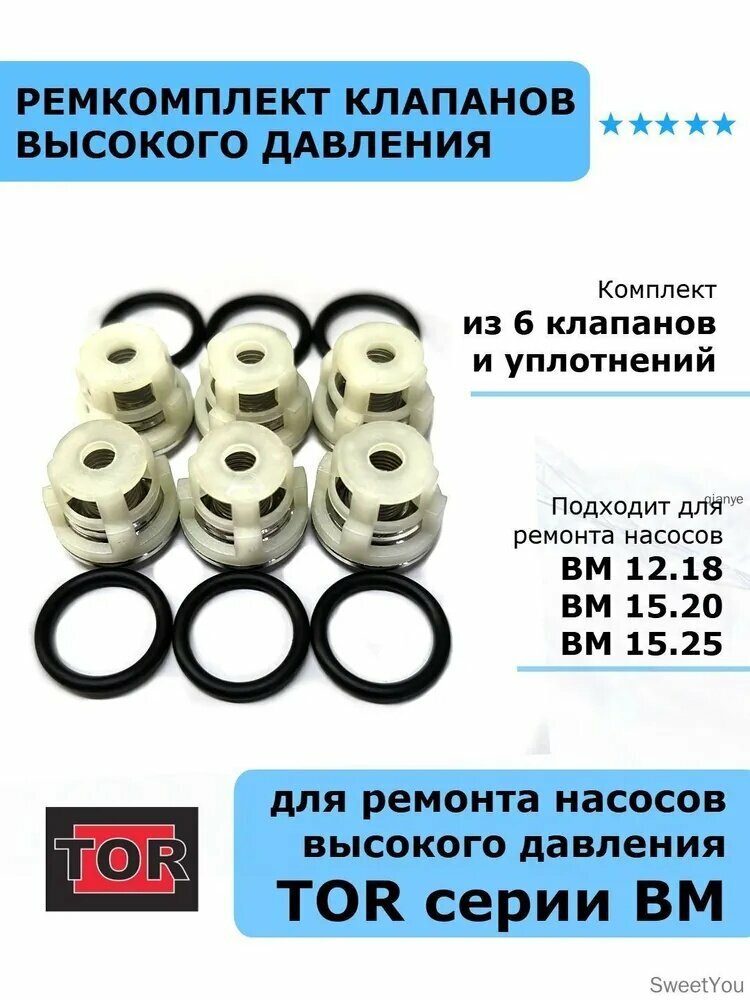 Ремкомплект клапанов высокого давления, для насосов TOR BM, 6 шт