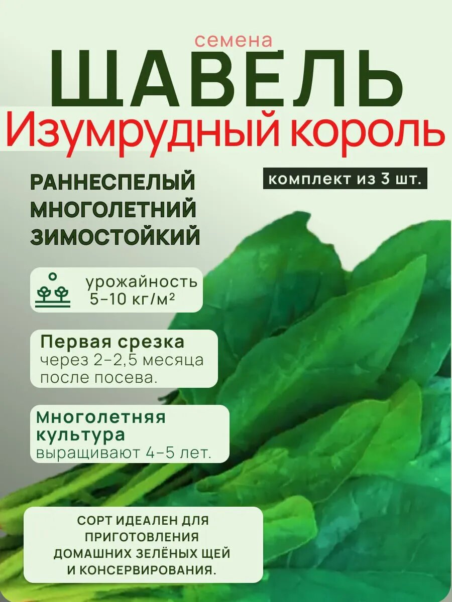Семена Щавеля сорт Изумрудный король, многолетний, 3 упаковки