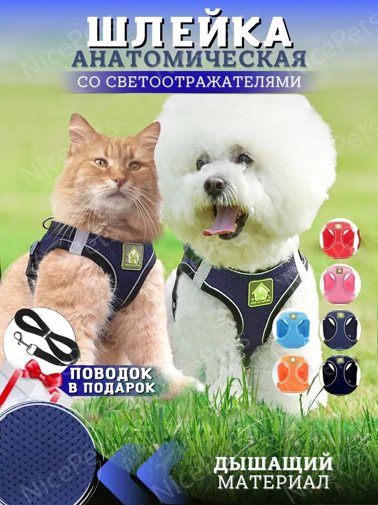 Шлейка с поводком для собак мелких и средних пород и кошек