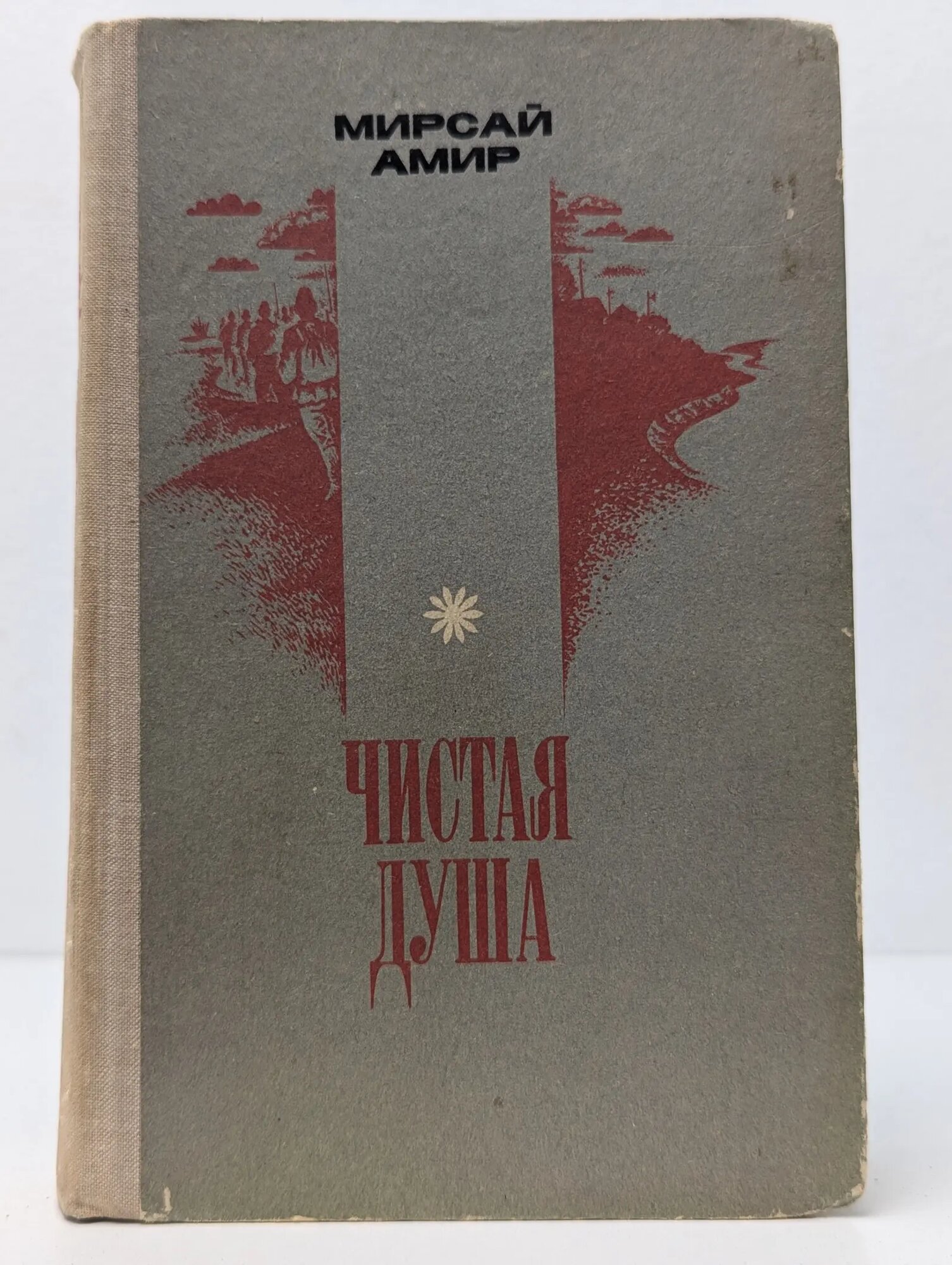 Чистая душа Амир Мирсай 1981