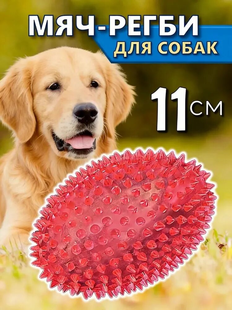 Мяч для собак Регби