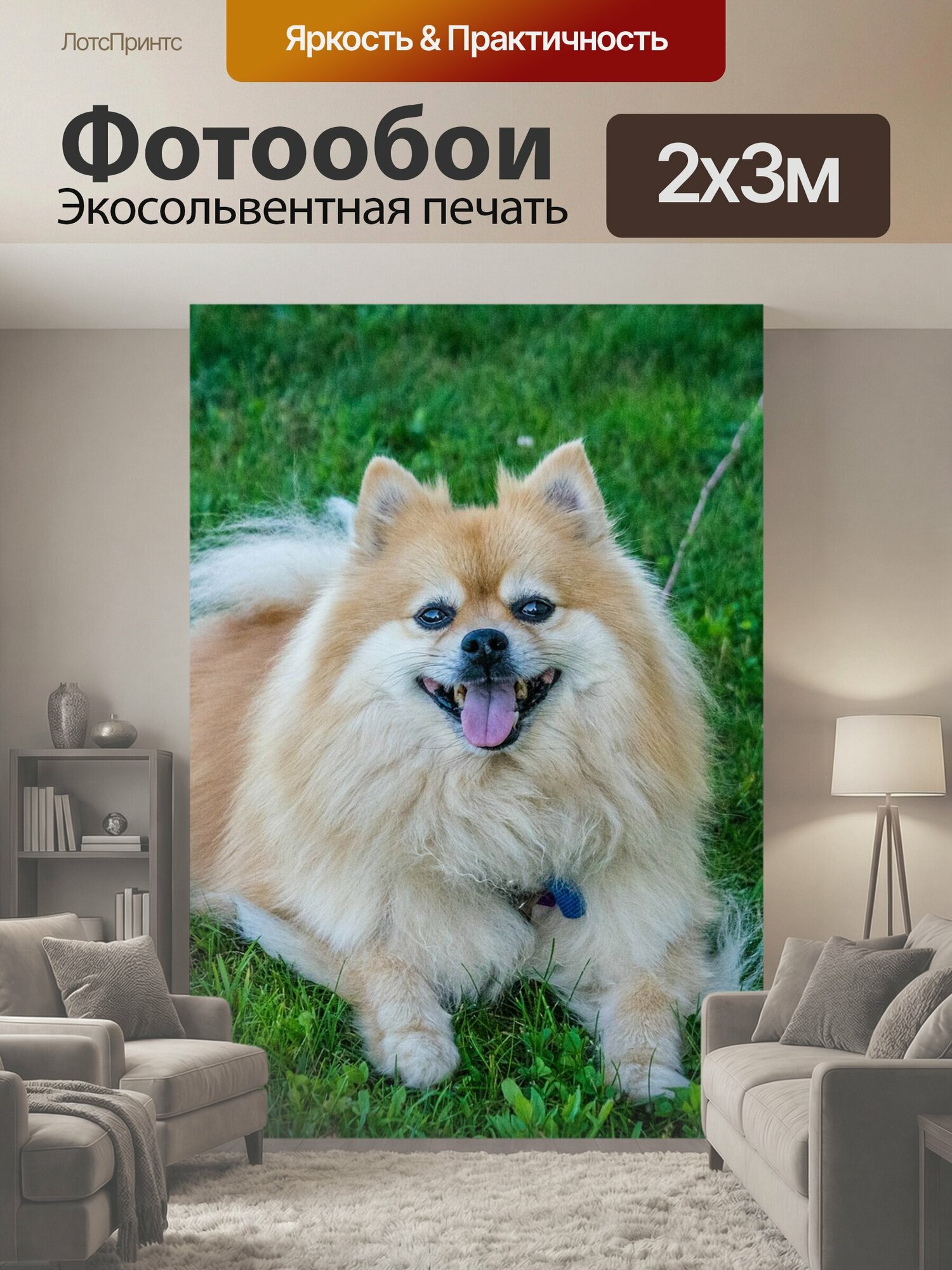 Фотообои "Собака, померанский шпиц, милый" 200x300 см. экосольвентная печать