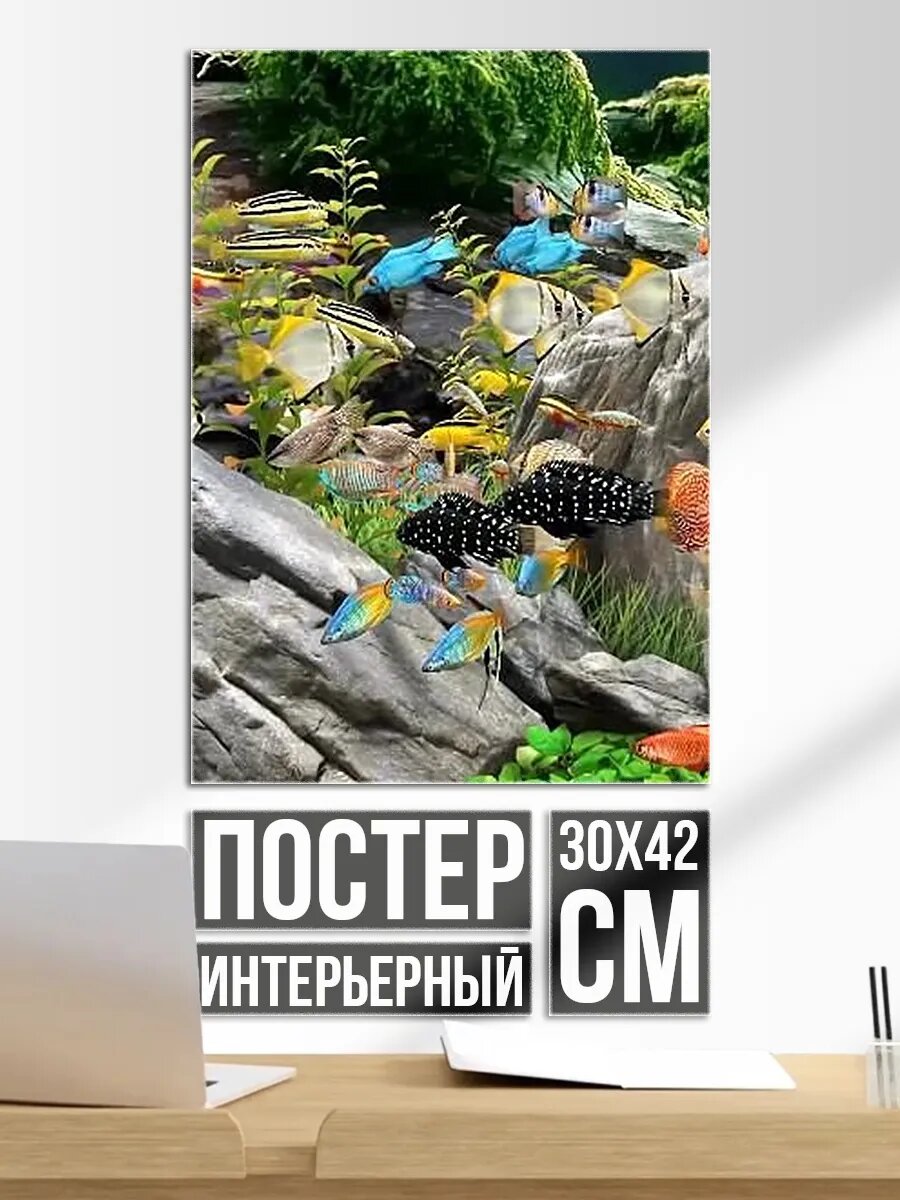 Плакат постер Аквариум с рыбками