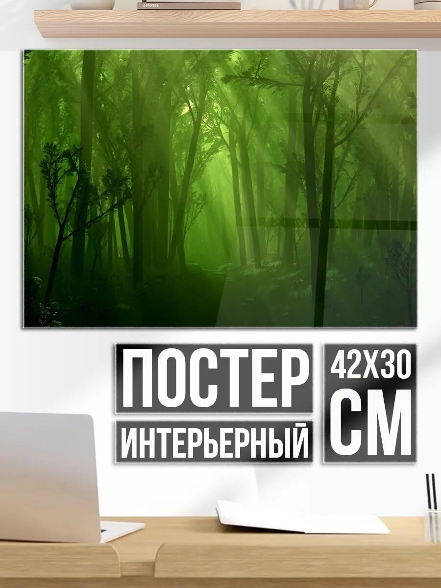 Плакат постер Зеленый туманный лес