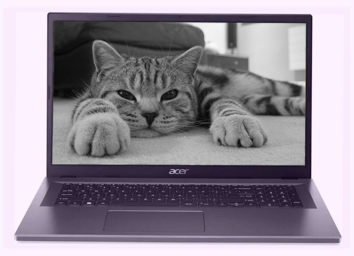 Ноутбук Acer Intel N-Series 3,4ГГц 4 ядер. 17,3' 1920x1080 Intel UHD Graphics Xe 24EUs Windows 11 Pro Русская раскладка