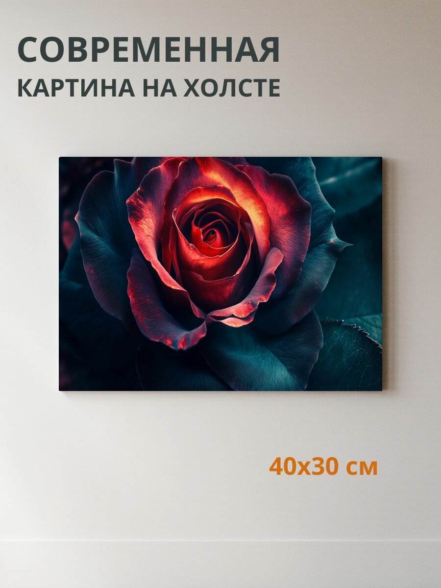 Картина на холсте Роза 40x30 см