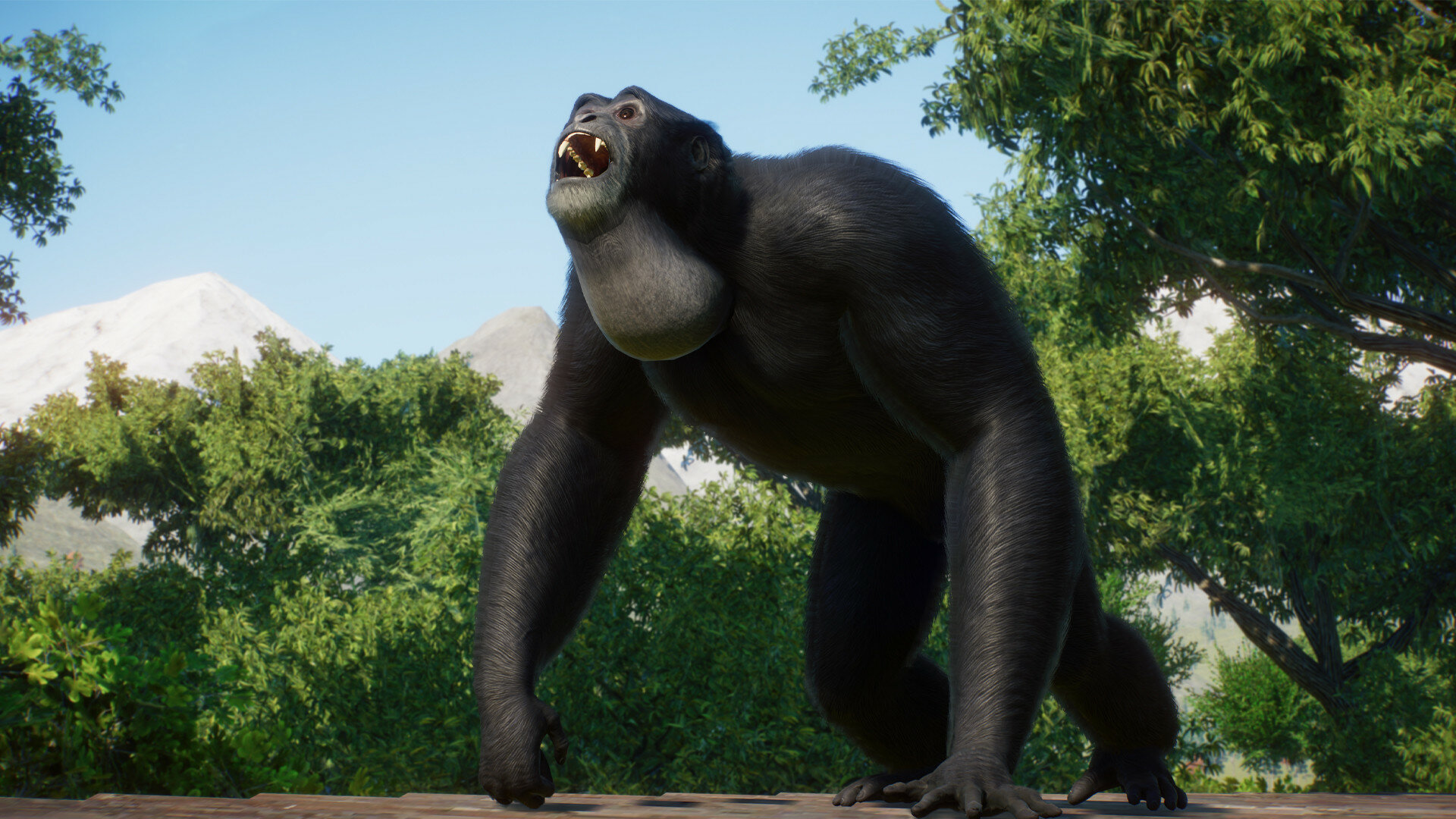 Planet Zoo Conservation Pack DLC, Все страны — фото 1