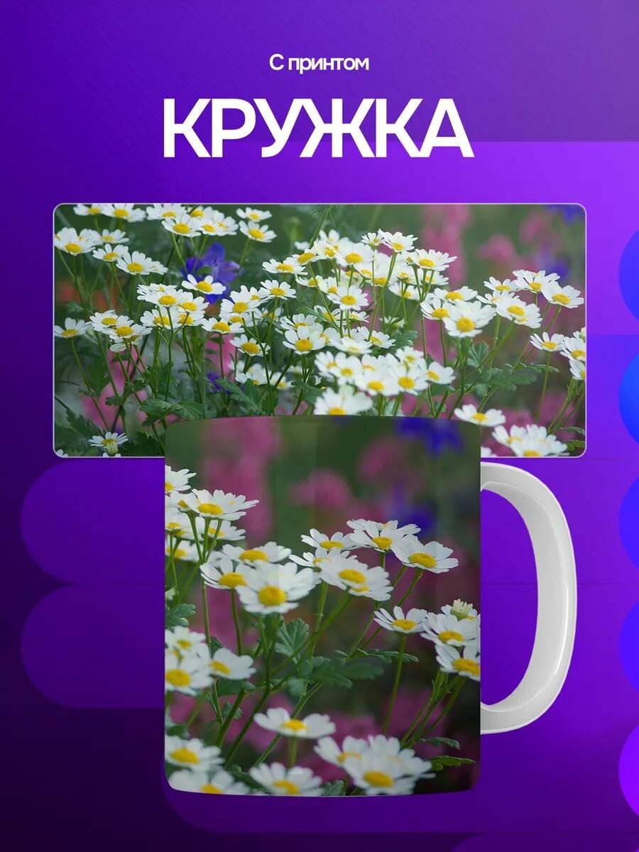 Милая Кружка с рисунком Ромашки